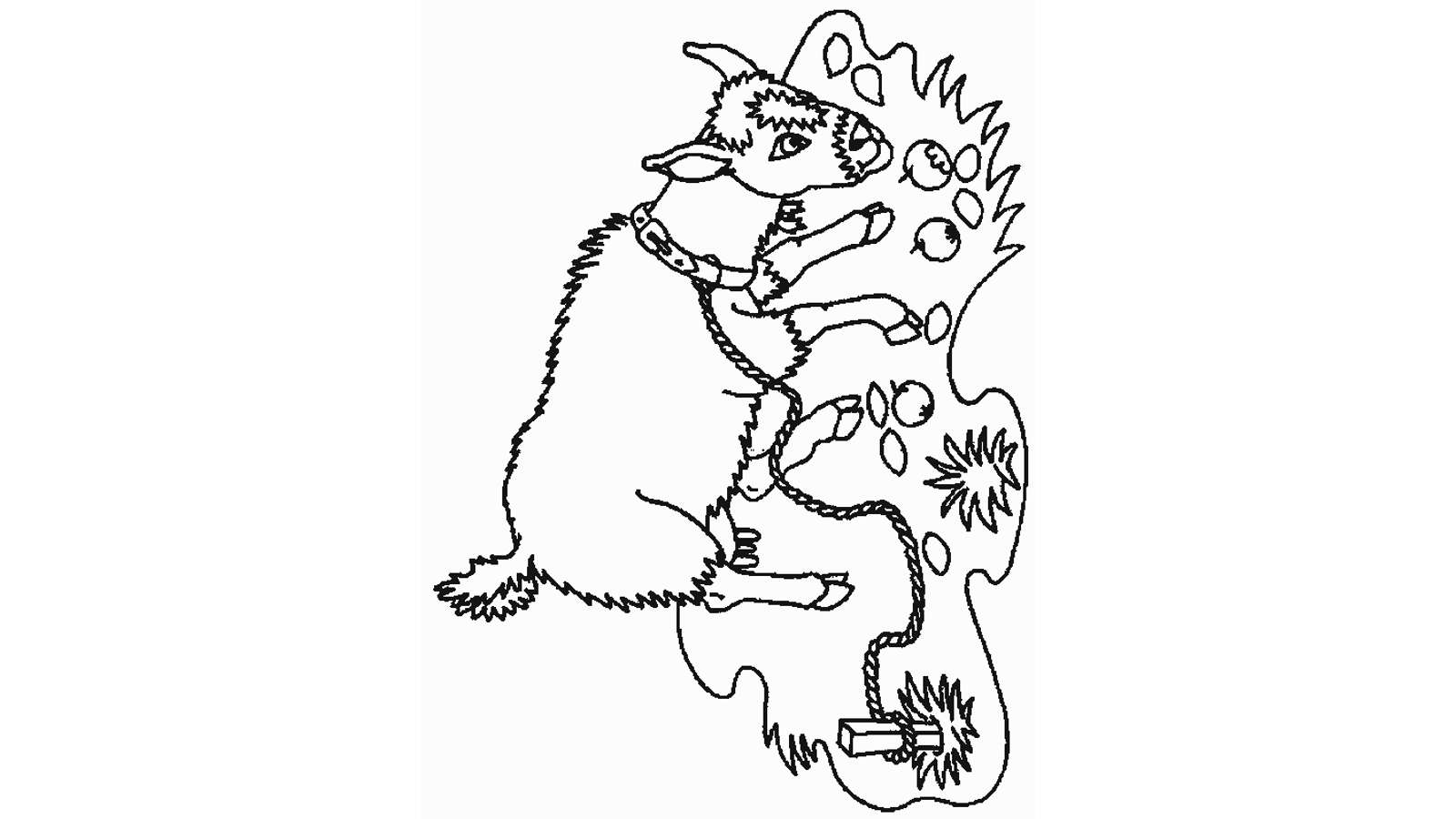 Dibujo de Animales de granja para colorear y pintar #348