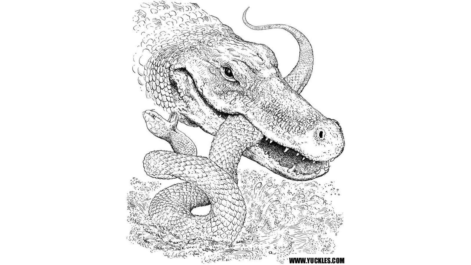 Dibujo de Cocodrilo para colorear y pintar #2847