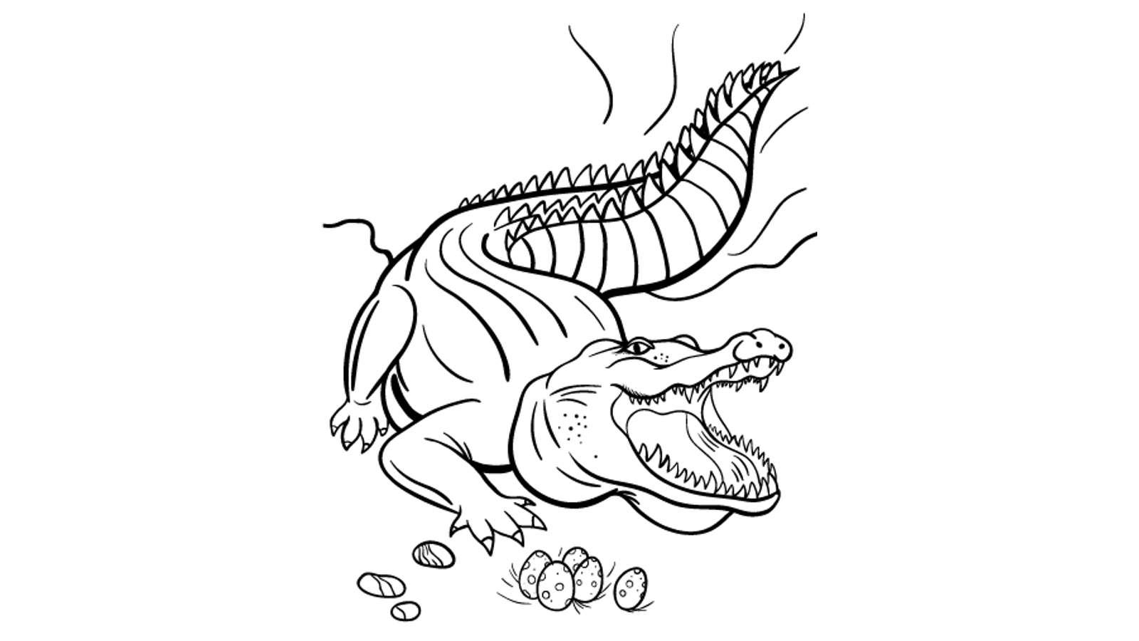 Dibujo de Cocodrilo para colorear y pintar #2851