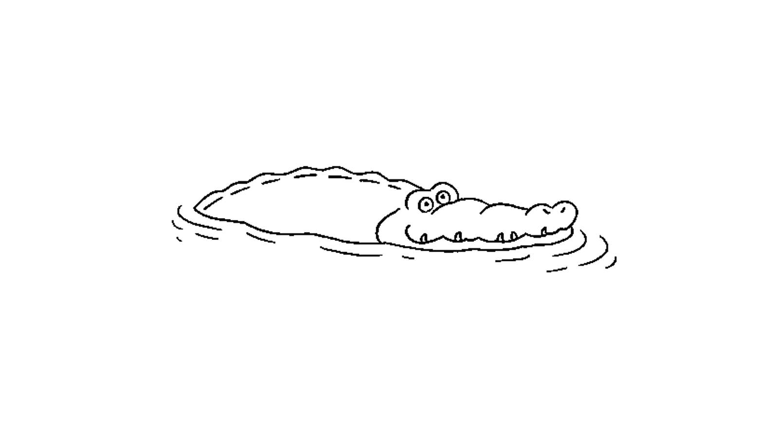 Dibujo de Cocodrilo para colorear y pintar #2860