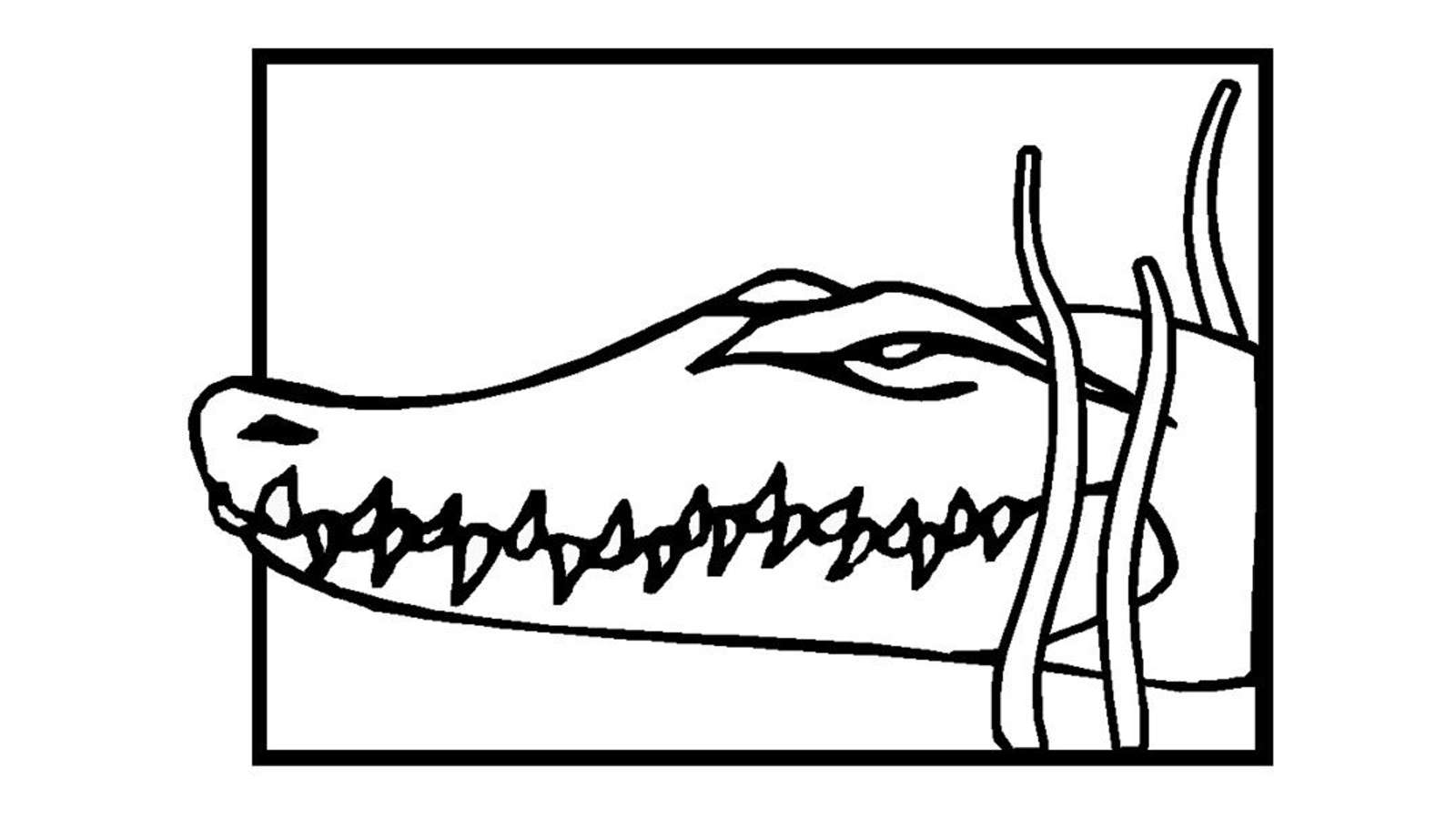 Dibujo de Cocodrilo para colorear y pintar #2866