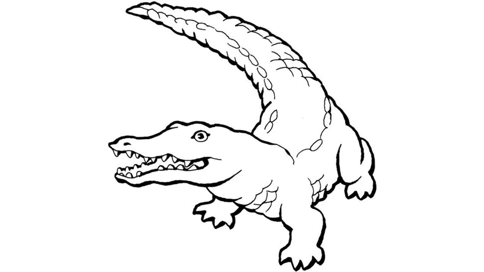 Dibujo de Cocodrilo para colorear y pintar #2876