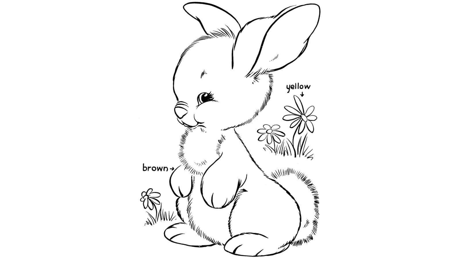 Dibujo de Conejo para colorear y pintar #3029