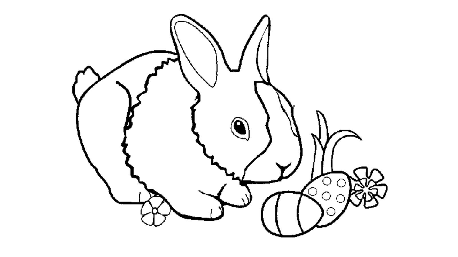 Dibujo de Conejo para colorear y pintar #3040