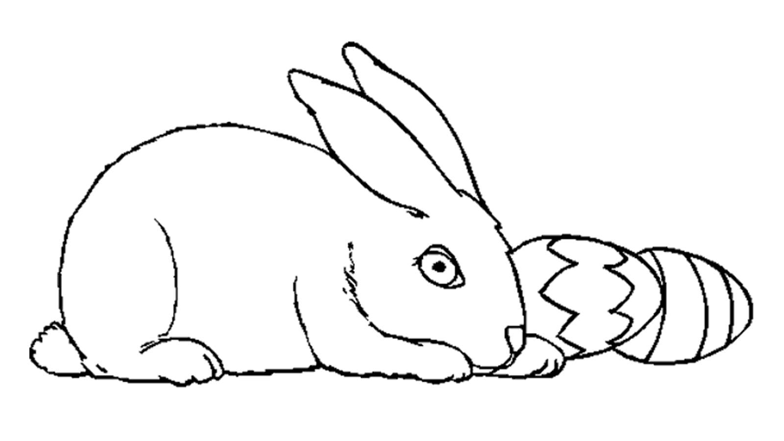 Dibujo de Conejo para colorear y pintar #3047