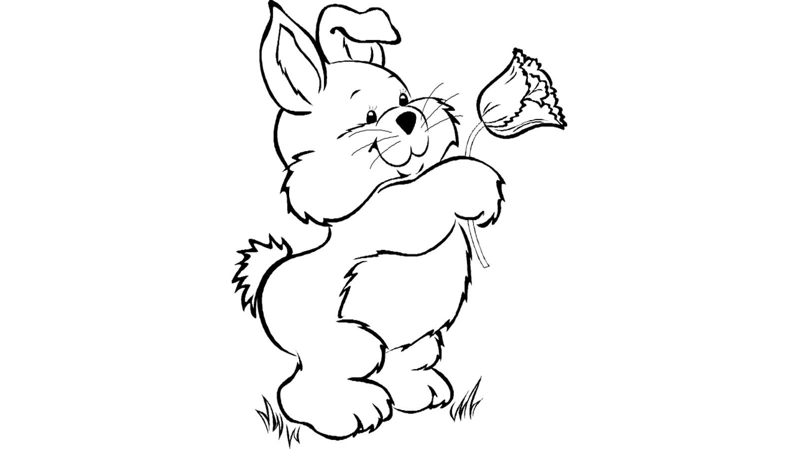 Dibujo de Conejo para colorear y pintar #3051