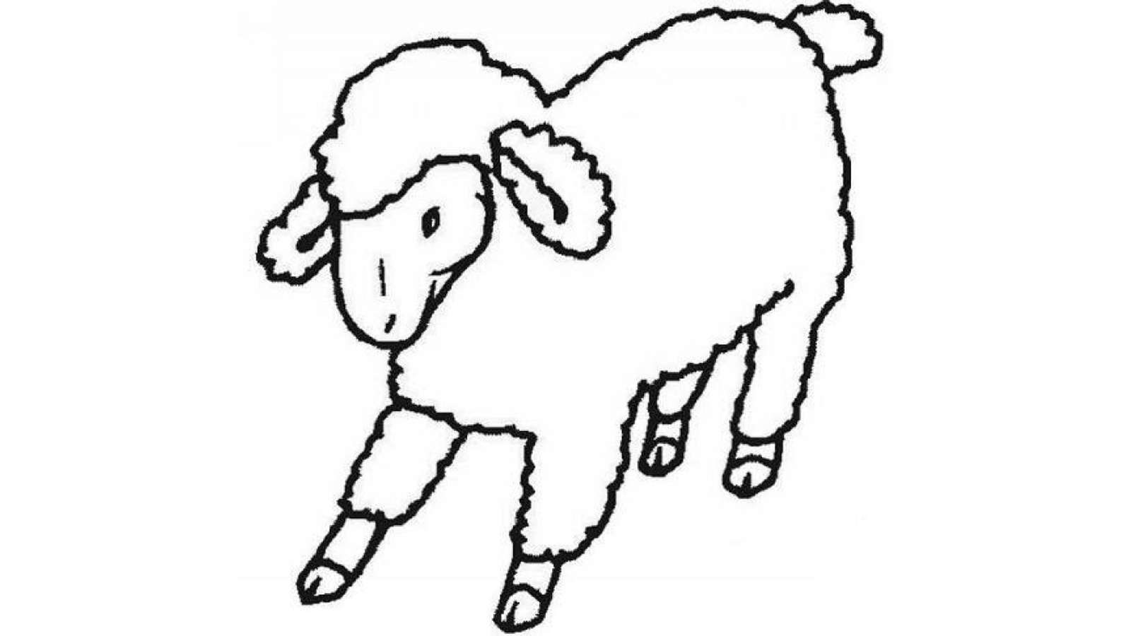 Dibujo de Cordero para colorear y pintar #3148