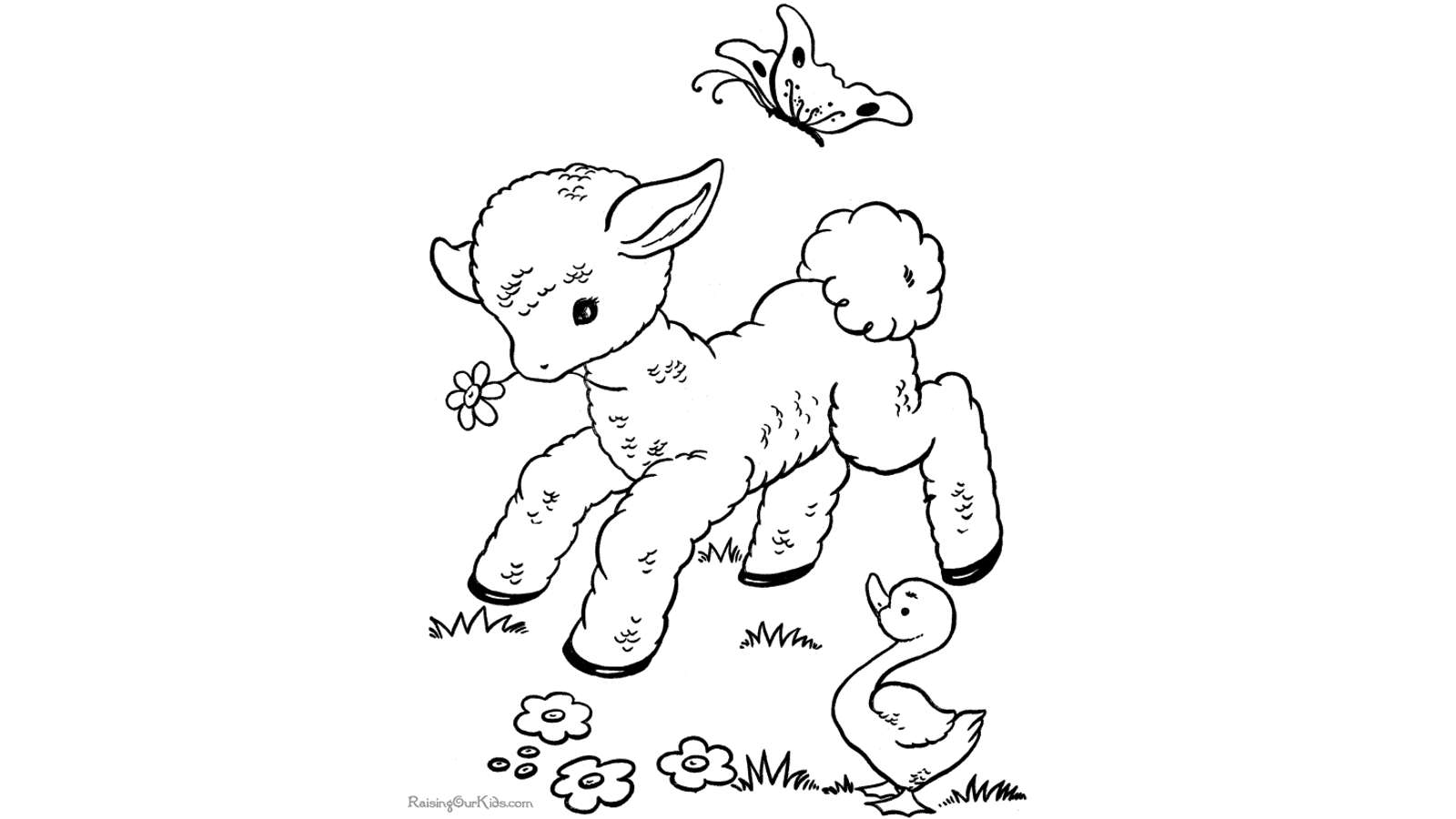 Dibujo de Cordero para colorear y pintar #3170