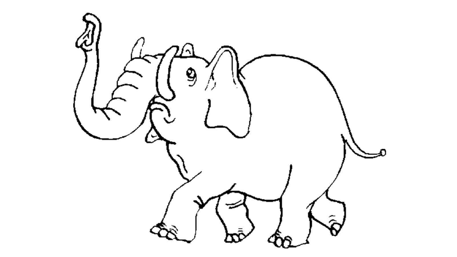 Dibujo de Elefante para colorear y pintar #3805