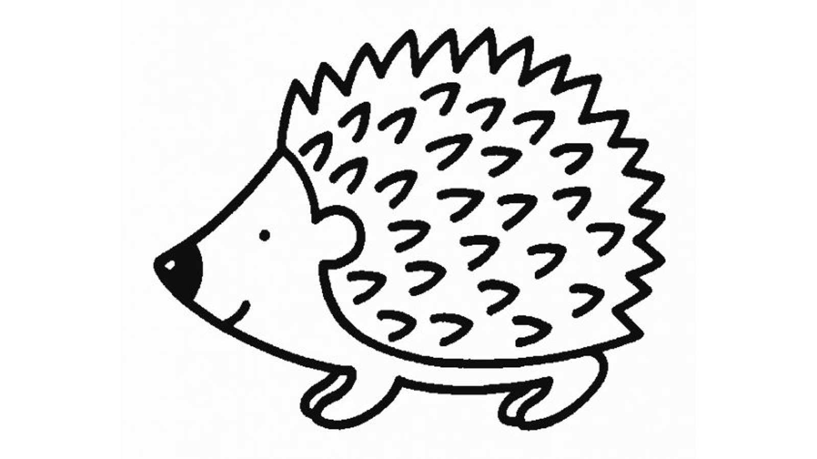 Dibujo de Erizo para colorear y pintar #3864