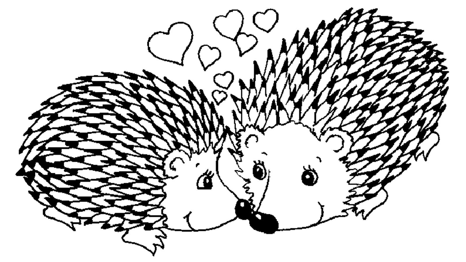 Dibujo para colorear de Erizo #3873