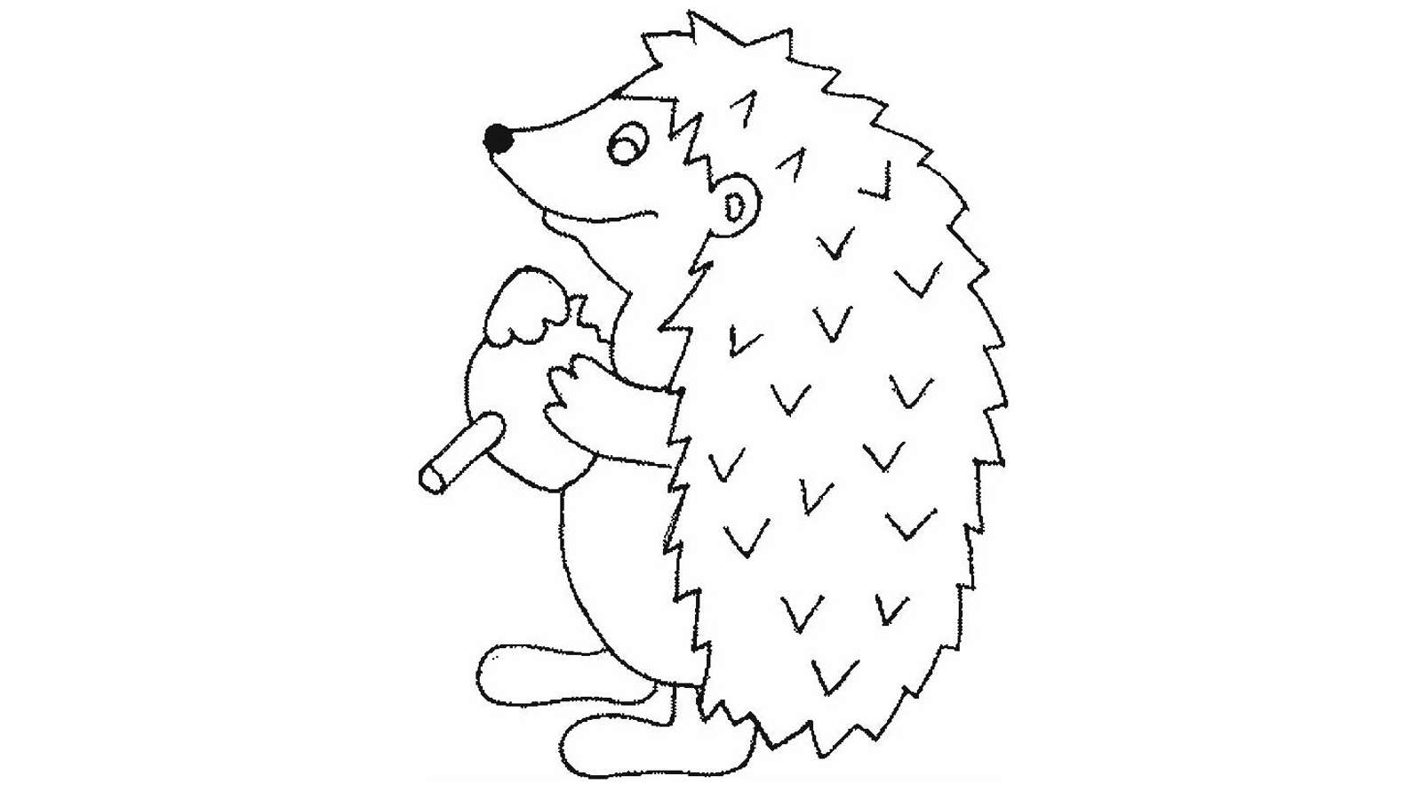 Dibujo de Erizo para colorear y pintar #3878