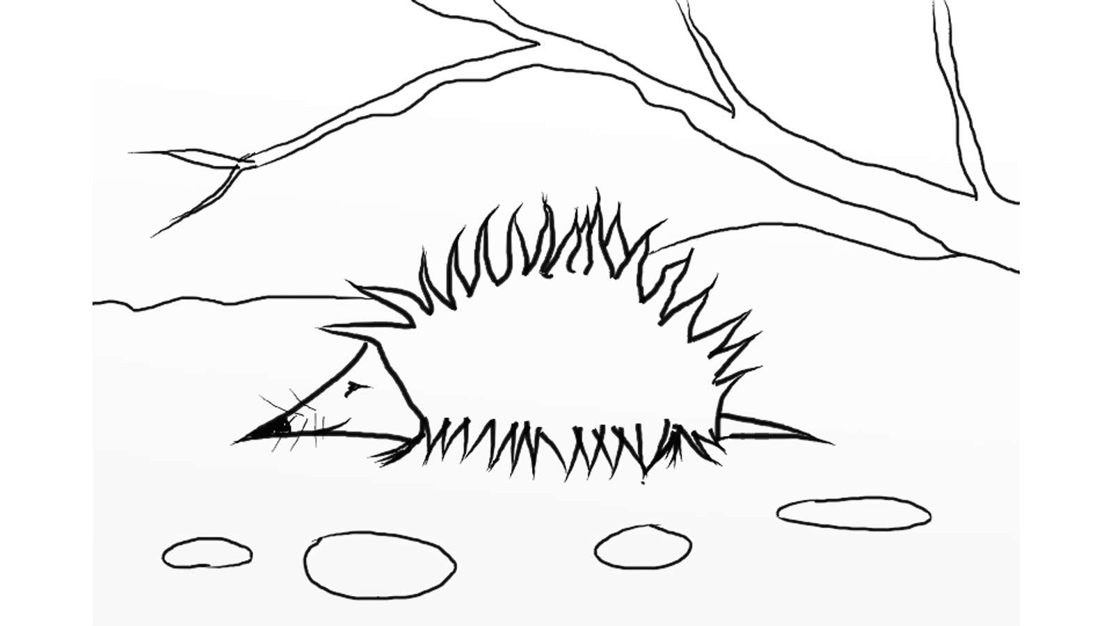 Dibujo de Erizo para colorear y pintar #3891