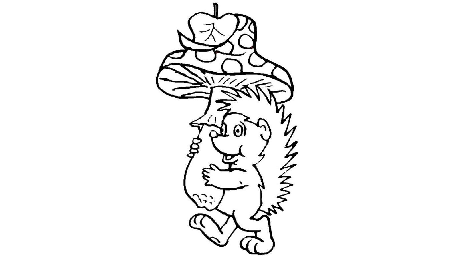 Dibujo de Erizo para colorear y pintar #3903