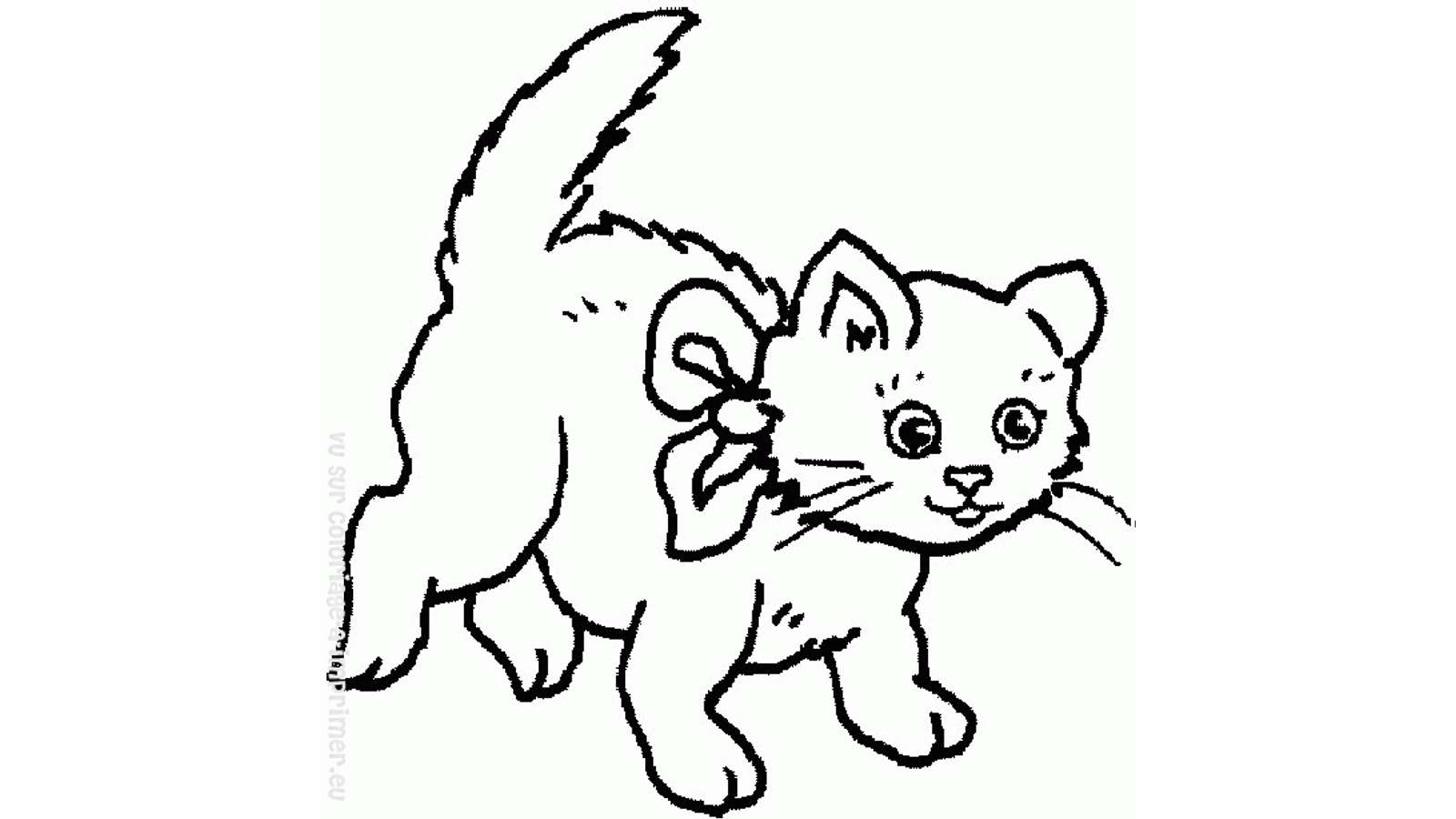 Dibujo de Gato para colorear y pintar #4314