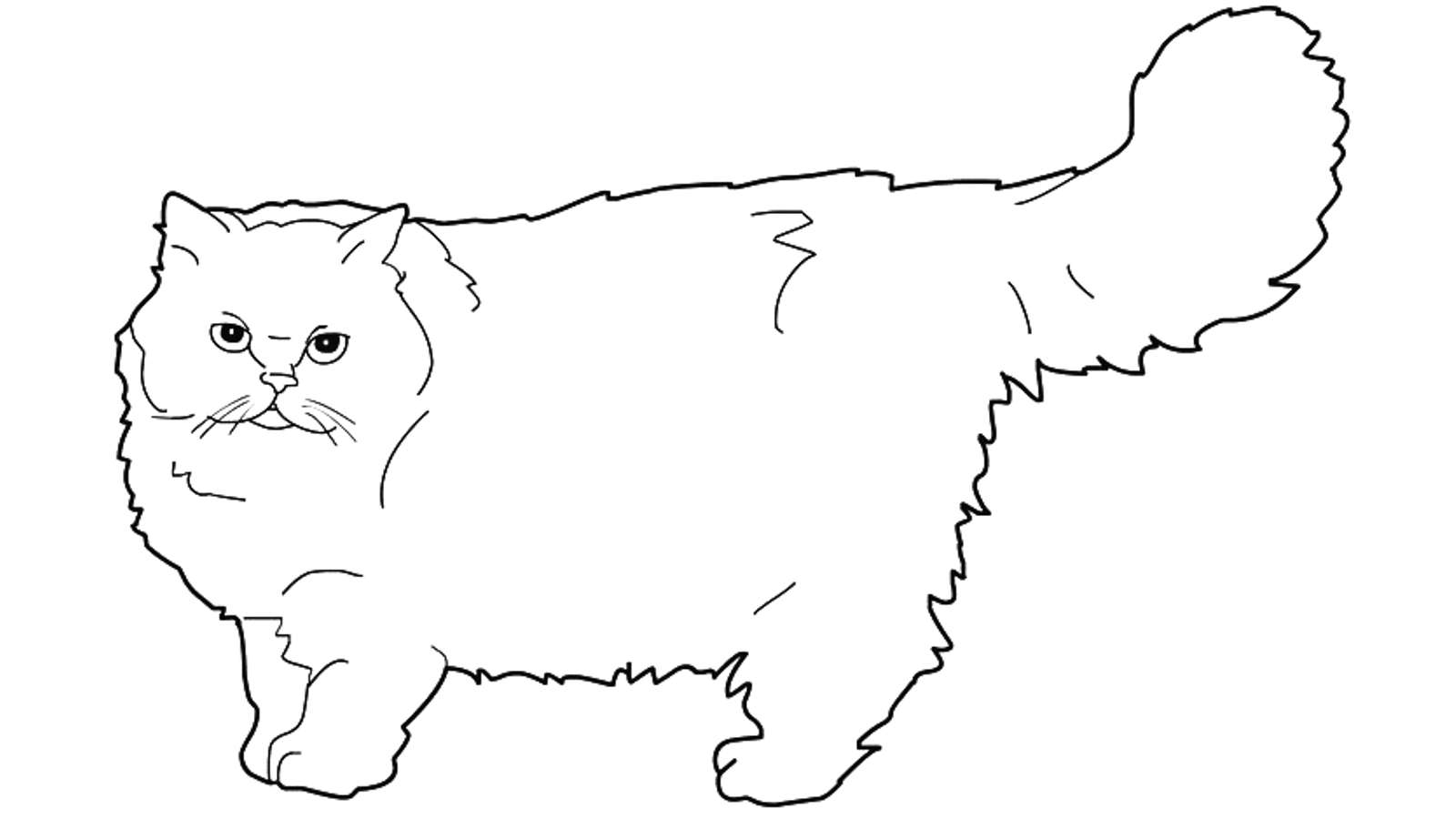 Dibujo de Gato para colorear y pintar #4378