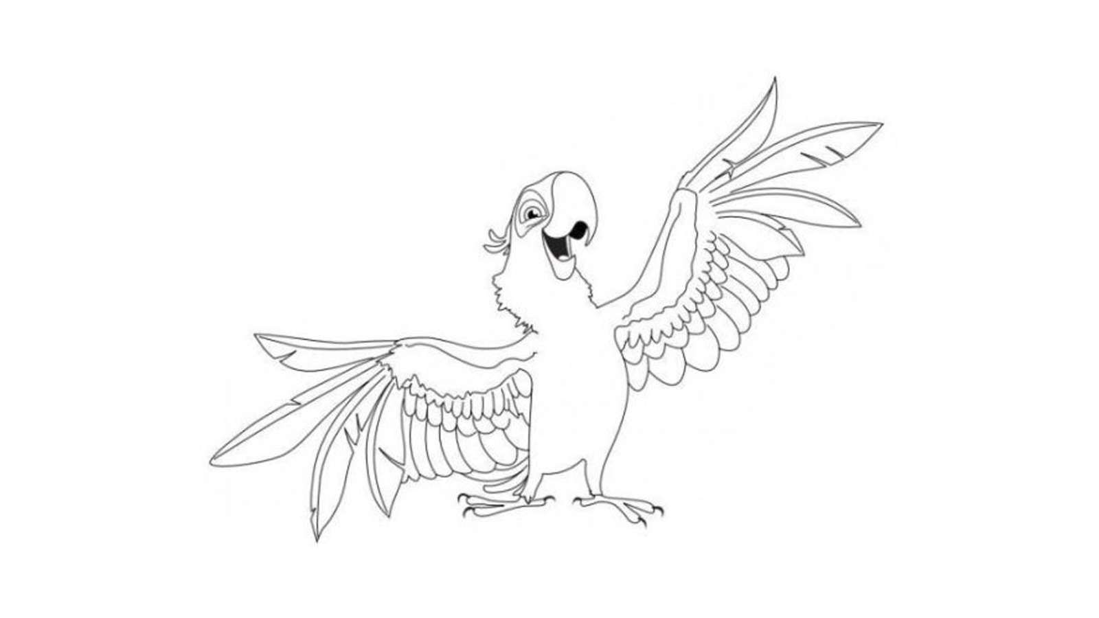 Dibujo de Loro para colorear y pintar #5097
