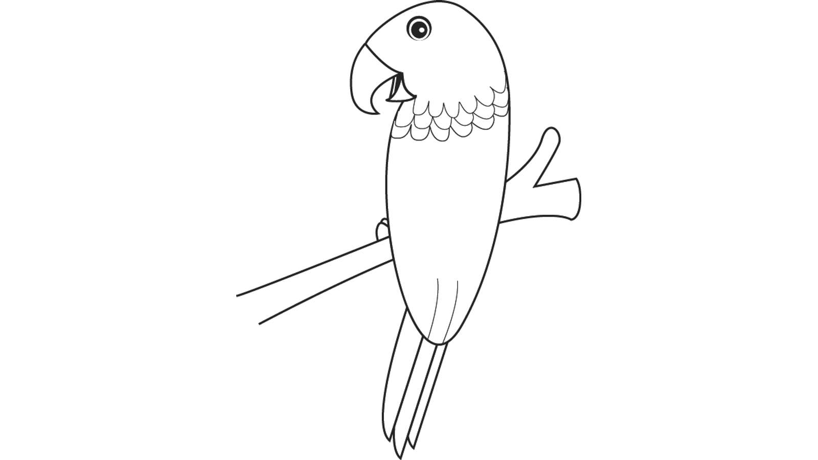 Dibujo de Loro para colorear y pintar #5117