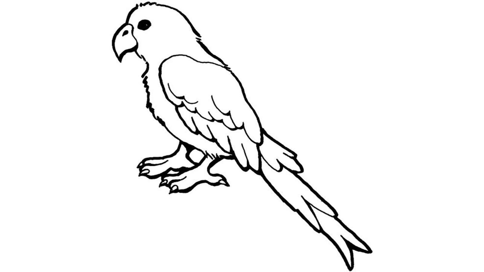 Dibujo de Loro para colorear y pintar #5126