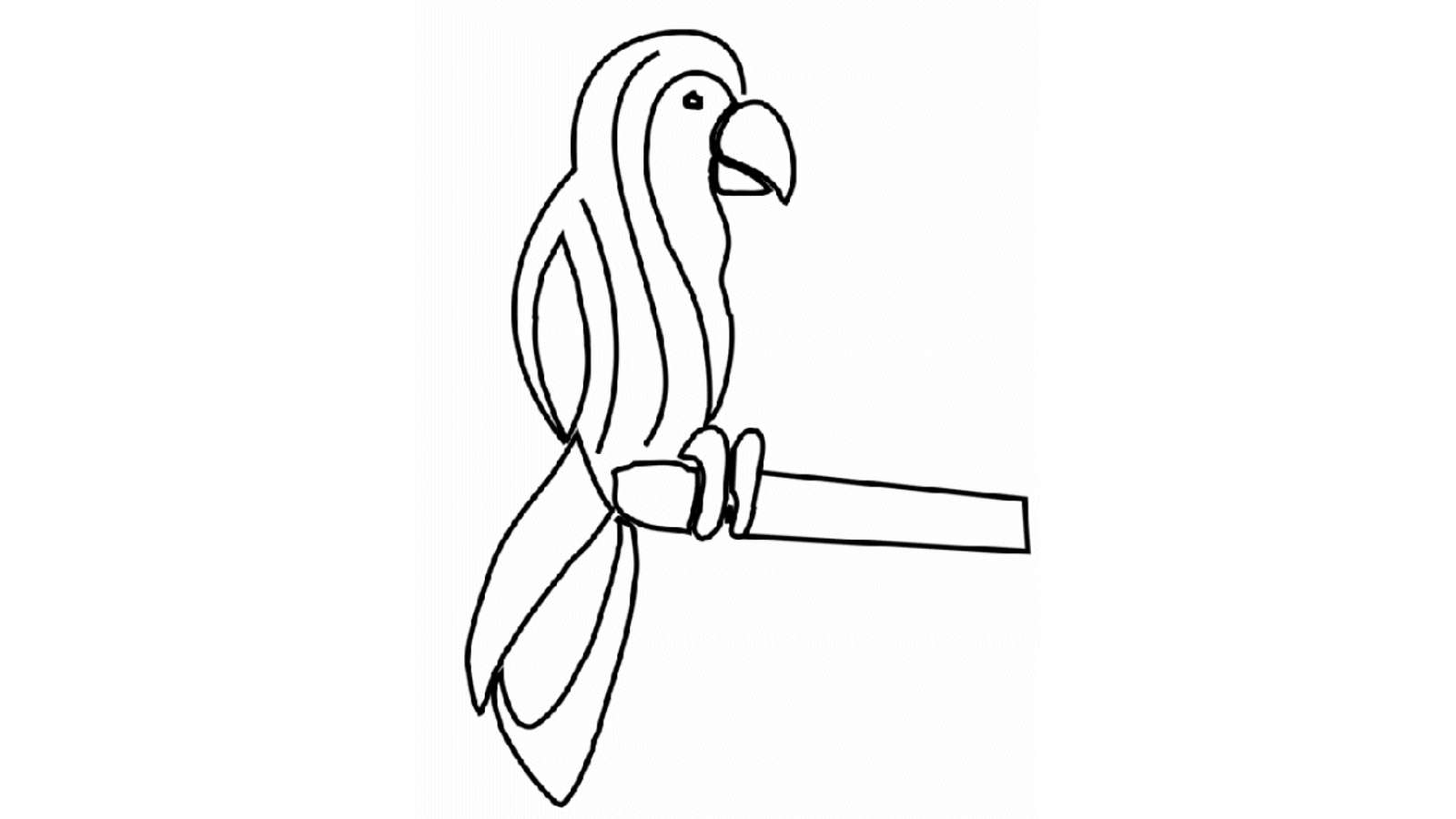 Dibujo de Loro para colorear y pintar #5169