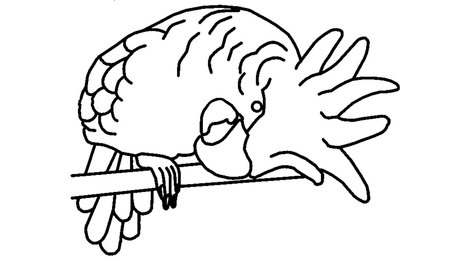Dibujo de Loro para colorear y pintar #5179