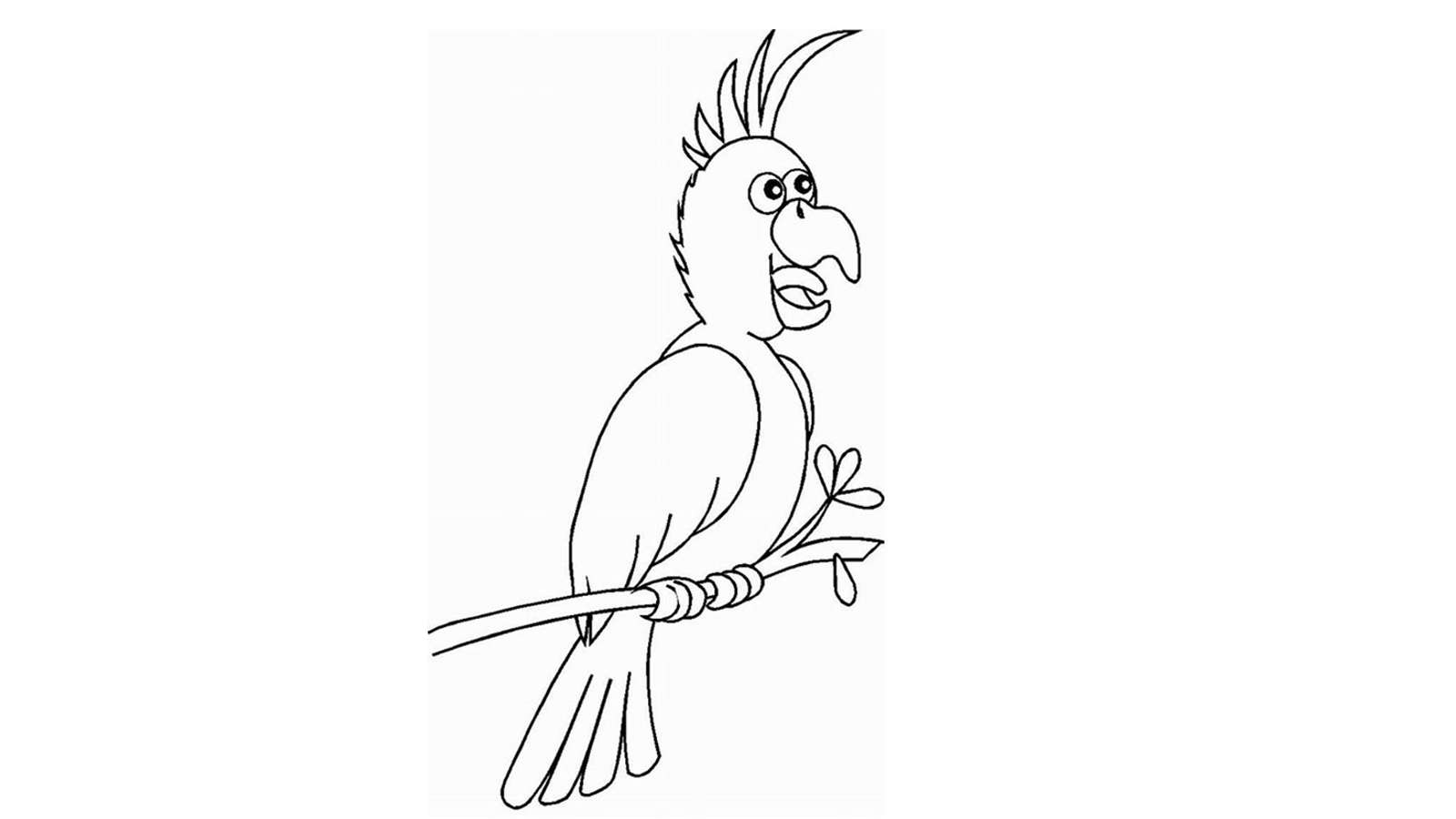 Dibujo de Loro para colorear y pintar #5186
