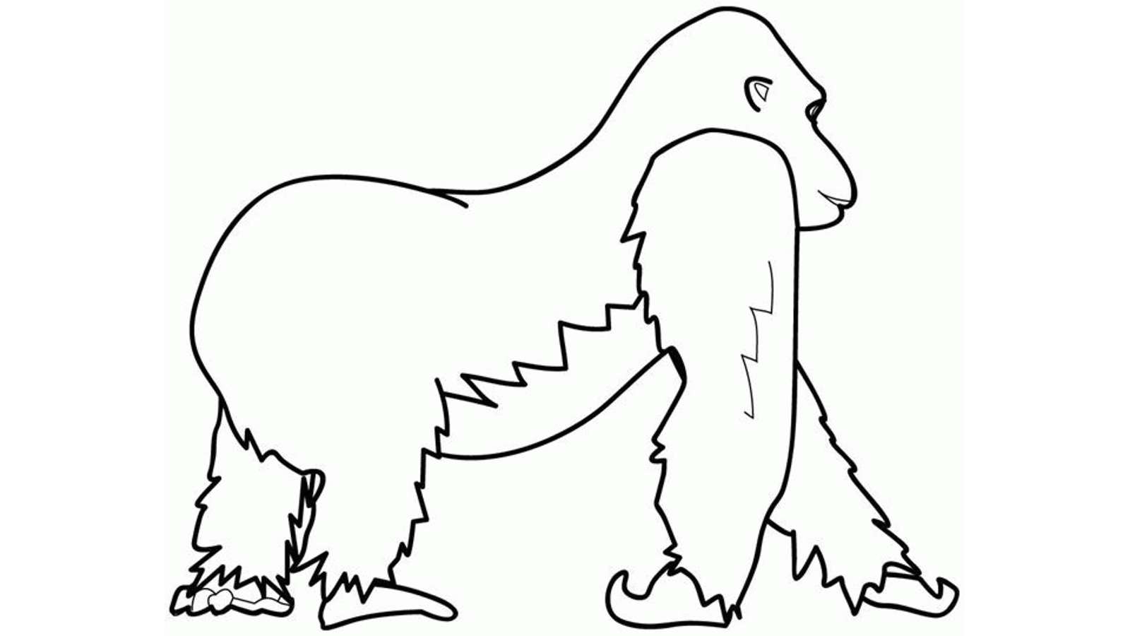 Dibujo de Mono para colorear y pintar #6685
