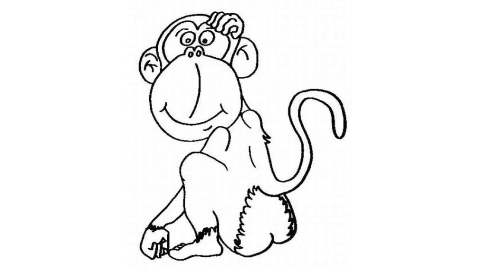 Dibujo de Mono para colorear y pintar #6697