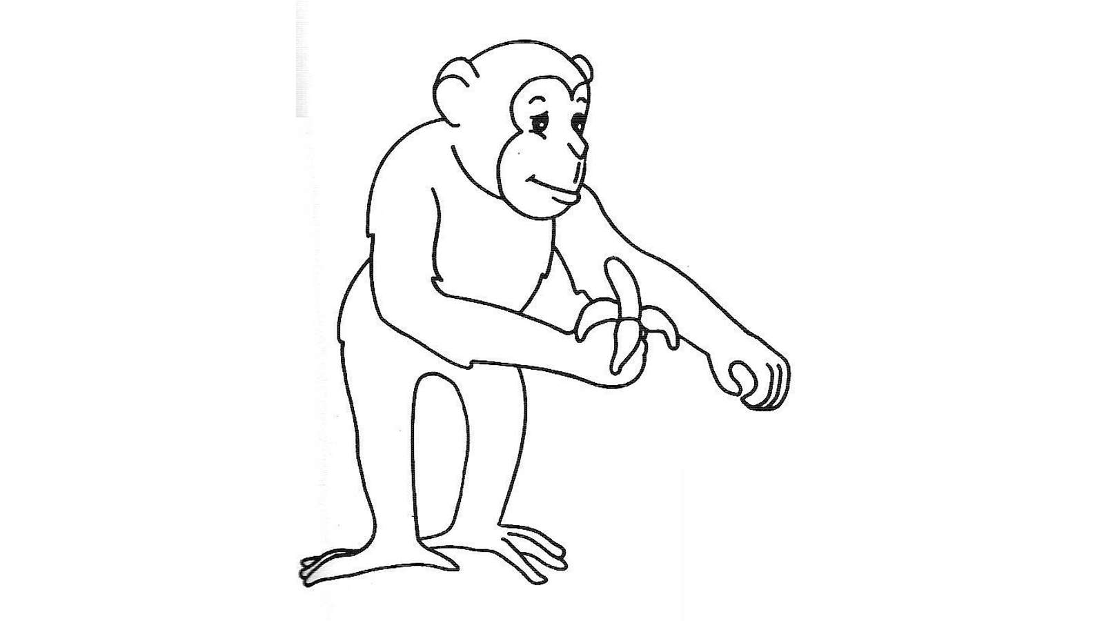 Dibujo de Mono para colorear y pintar #6755