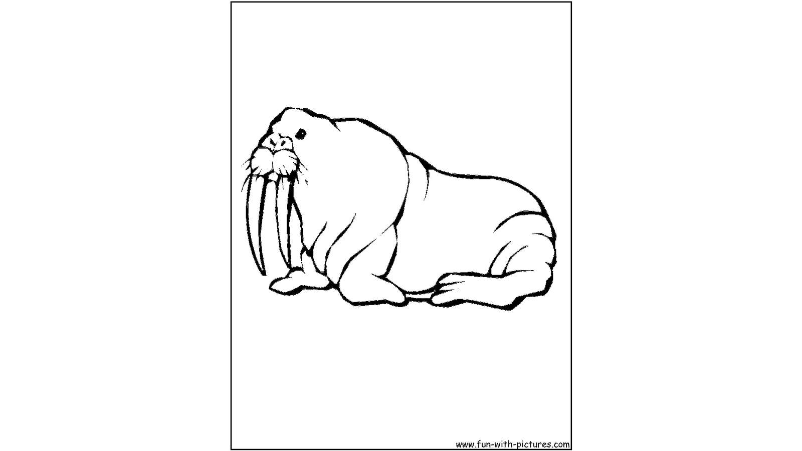 Dibujo de Morsa para colorear y pintar #6801