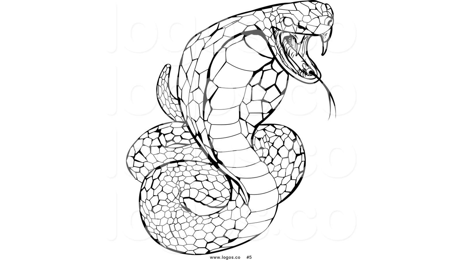 Dibujo de Serpiente para colorear y pintar #9212