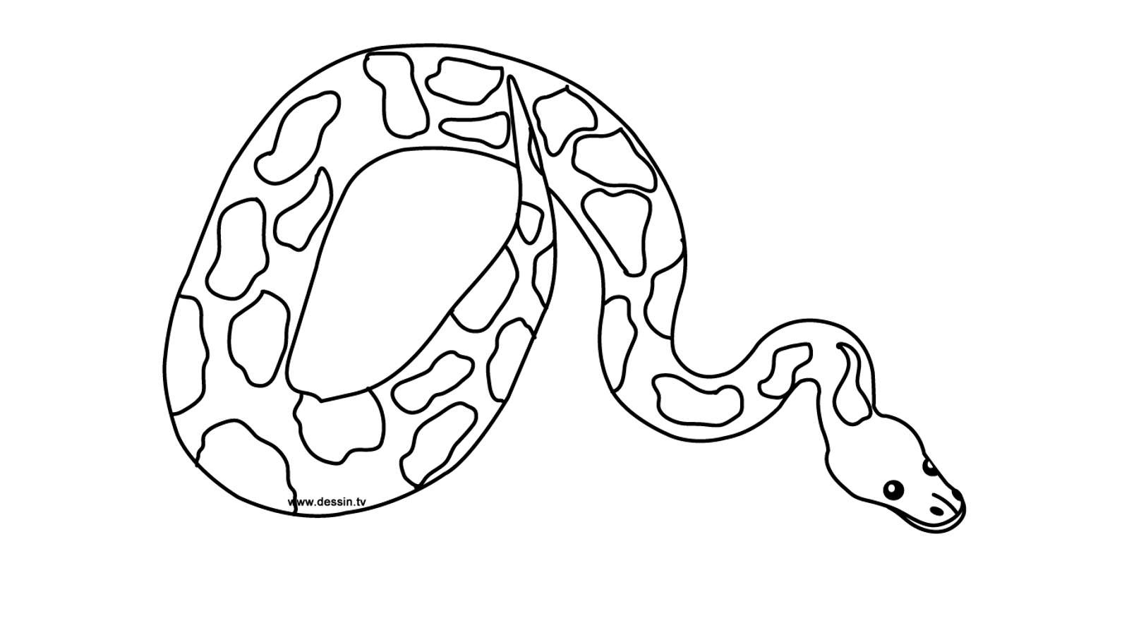 Dibujo de Serpiente para colorear y pintar #9229