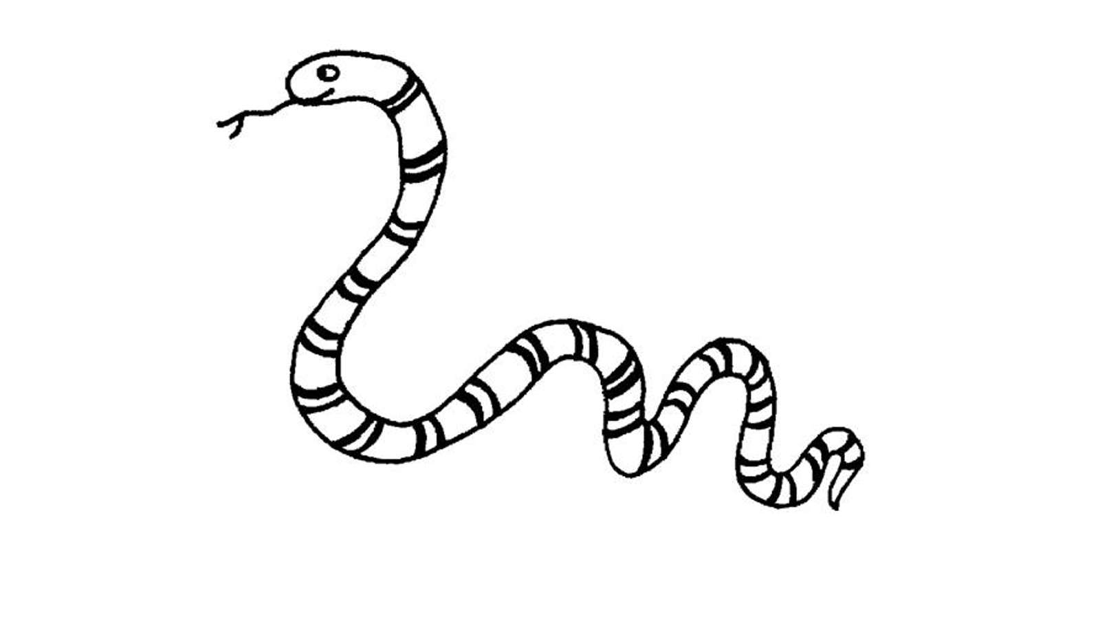 Dibujo de Serpiente para colorear y pintar #9246