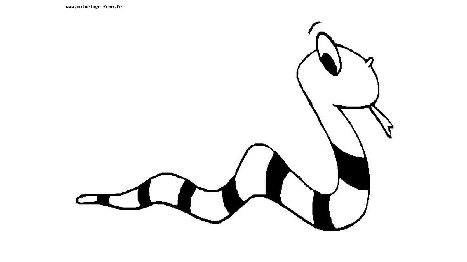 Dibujo de Serpiente para colorear y pintar #9253