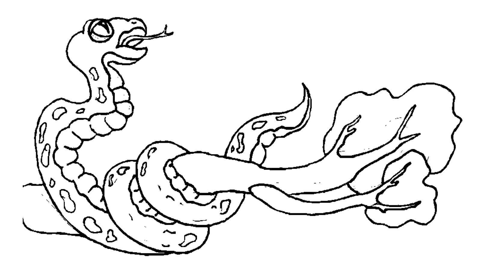 Dibujo de Serpiente para colorear y pintar #9257
