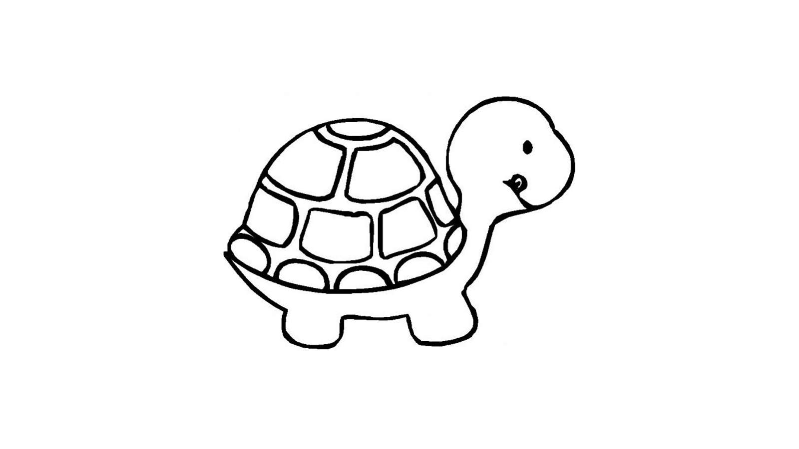 Dibujo de Tortuga para colorear y pintar #9598