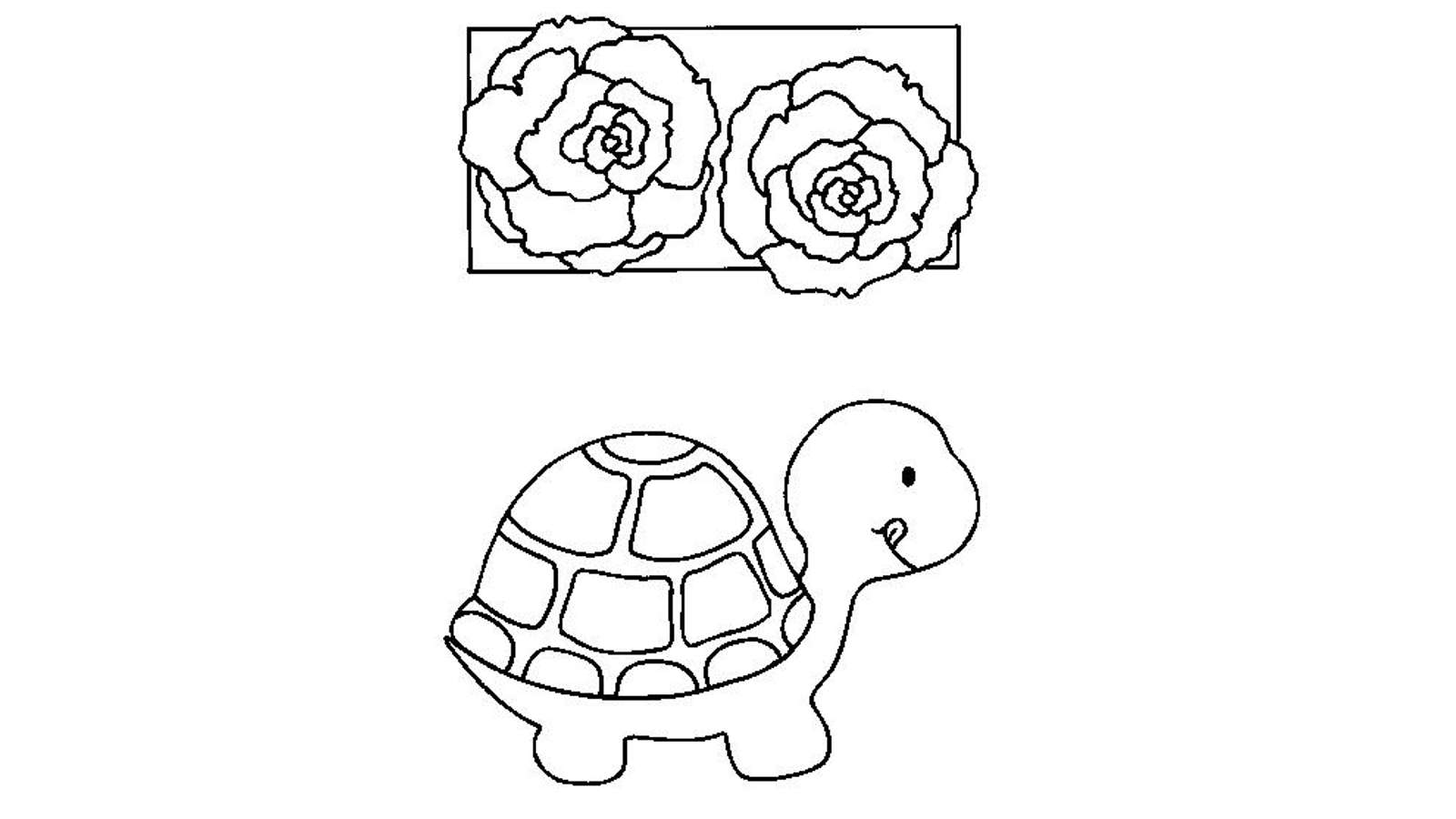 Dibujo de Tortuga para colorear y pintar #9618