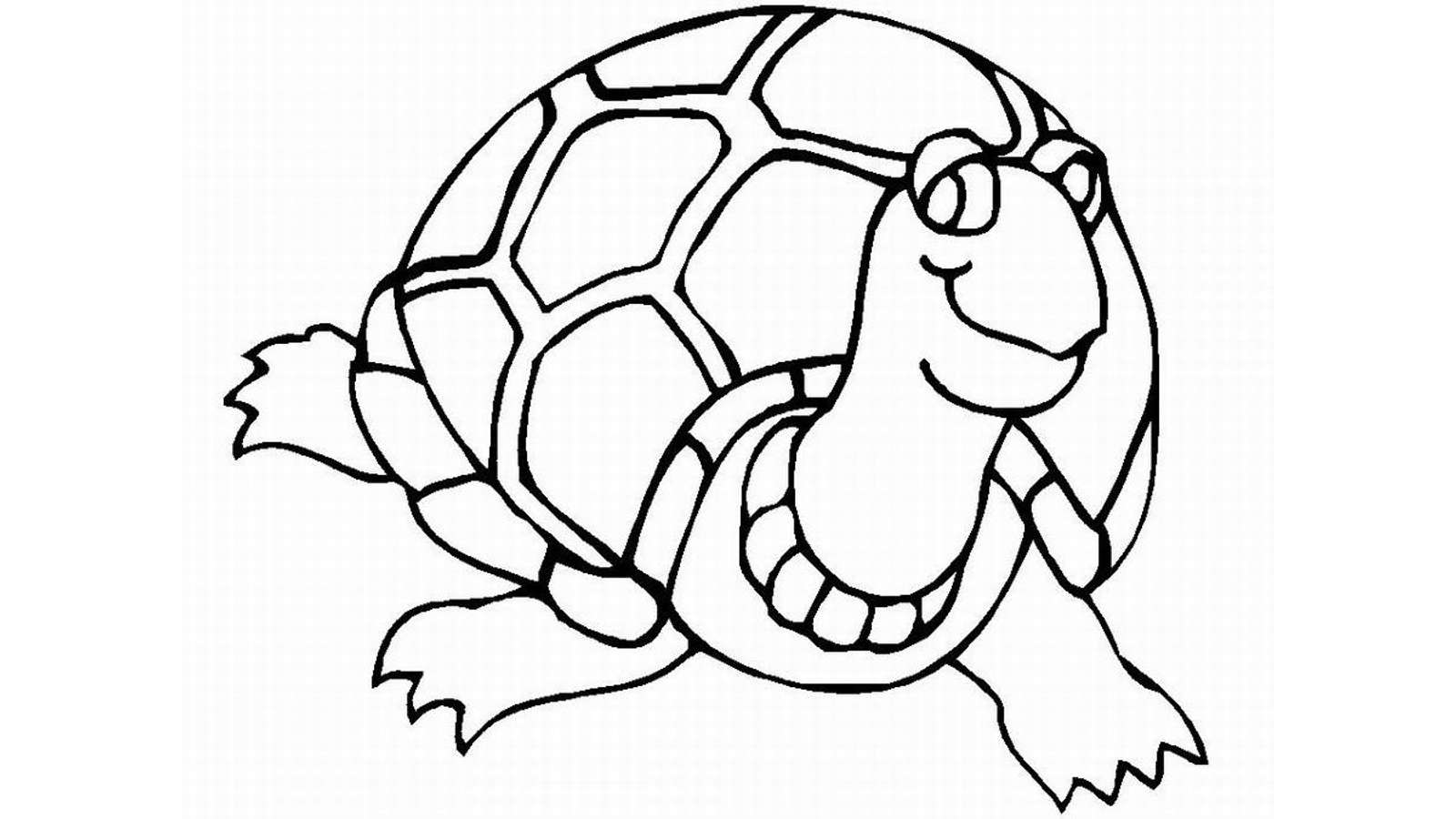 Dibujo de Tortuga para colorear y pintar #9672