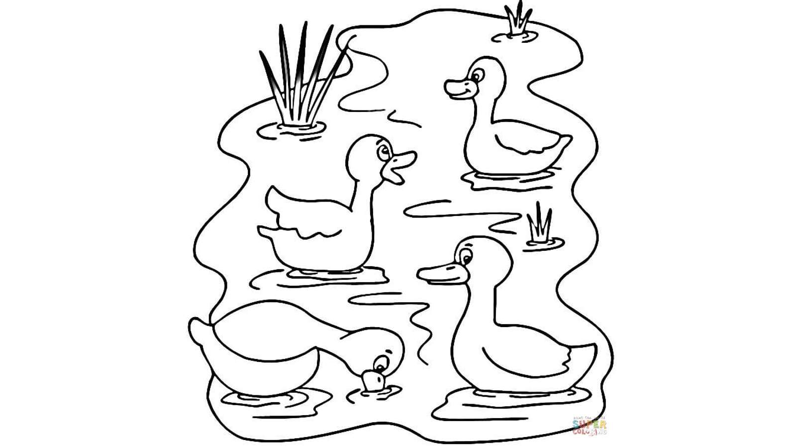 Dibujo de Lago para colorear y pintar #28004