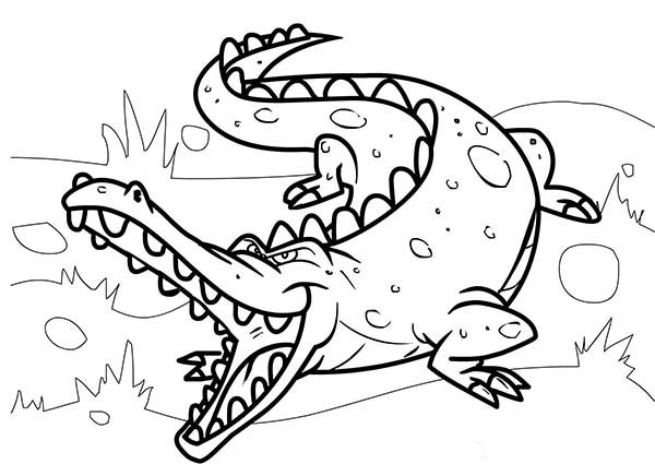 Dibujo de Cocodrilo para colorear y pintar #2868