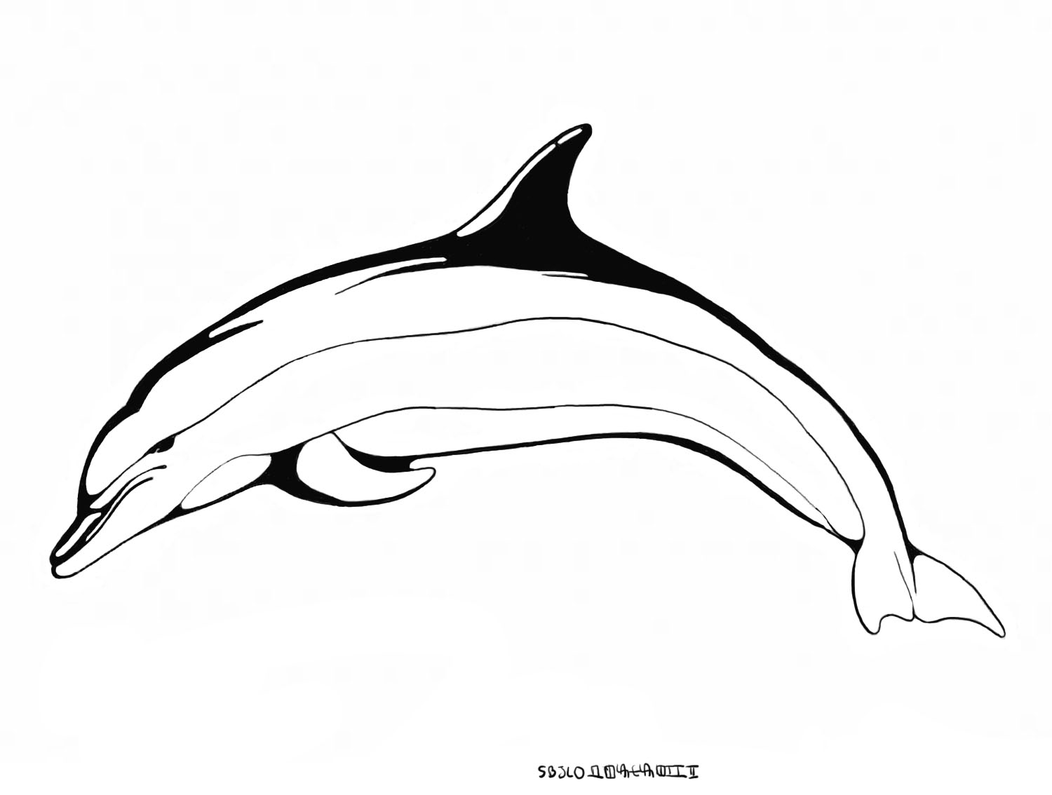 Dibujo de Delfín para colorear y pintar #3262