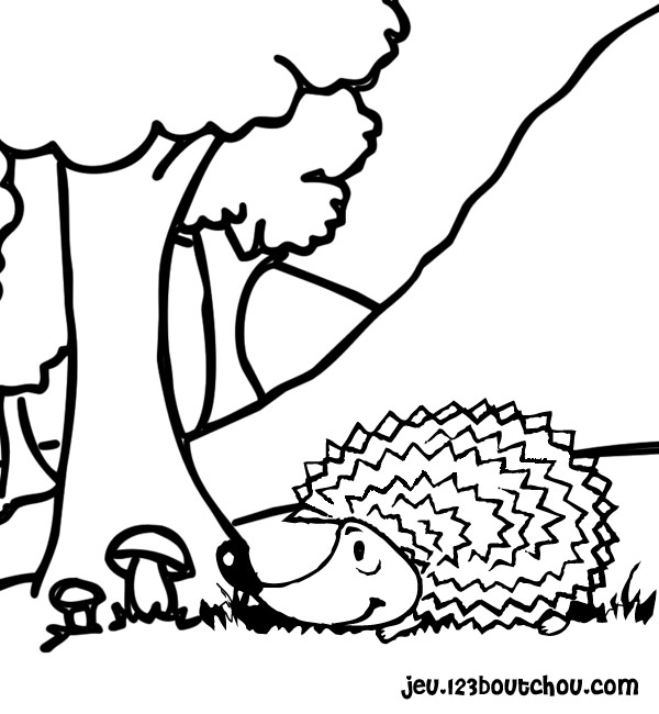 Dibujo de Erizo para colorear y pintar #3883