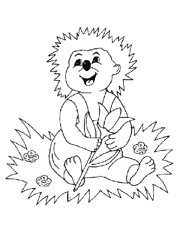 Dibujo para colorear de Erizo #3927