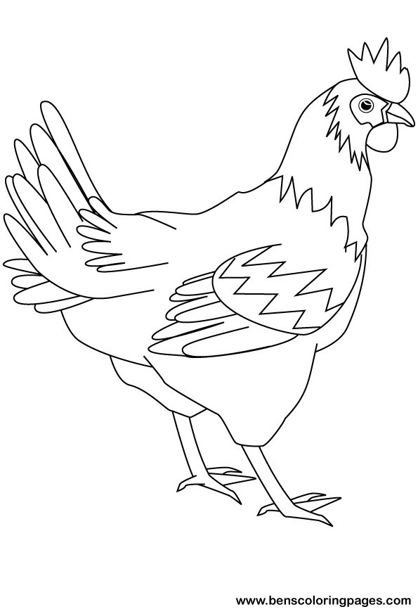 Dibujo de Gallina para colorear y pintar #4033