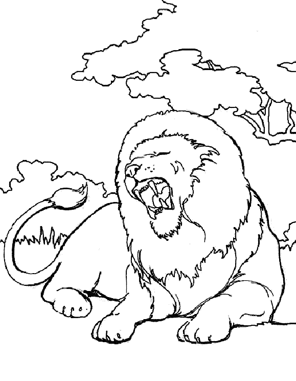 Dibujo de León para colorear y pintar #5714