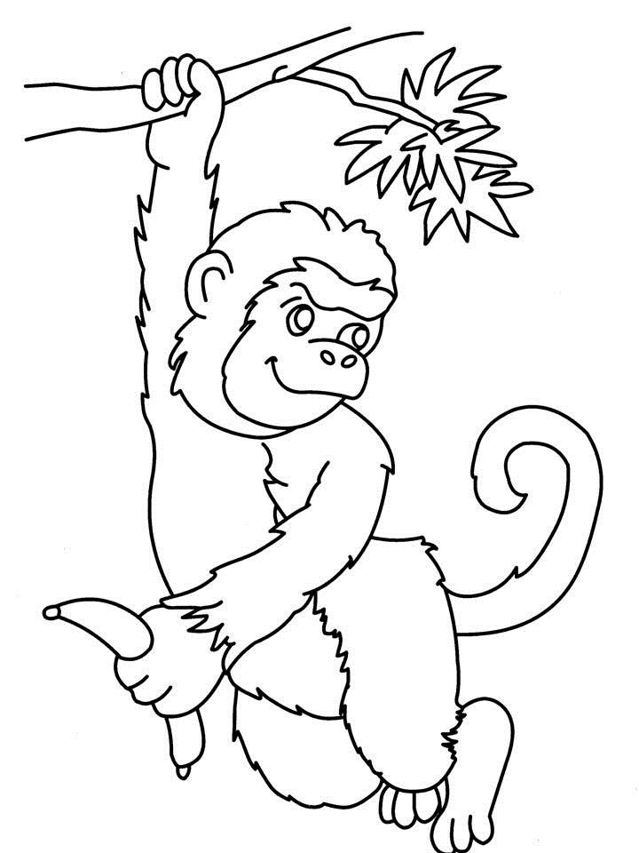 Dibujo de Mono para colorear y pintar #6670