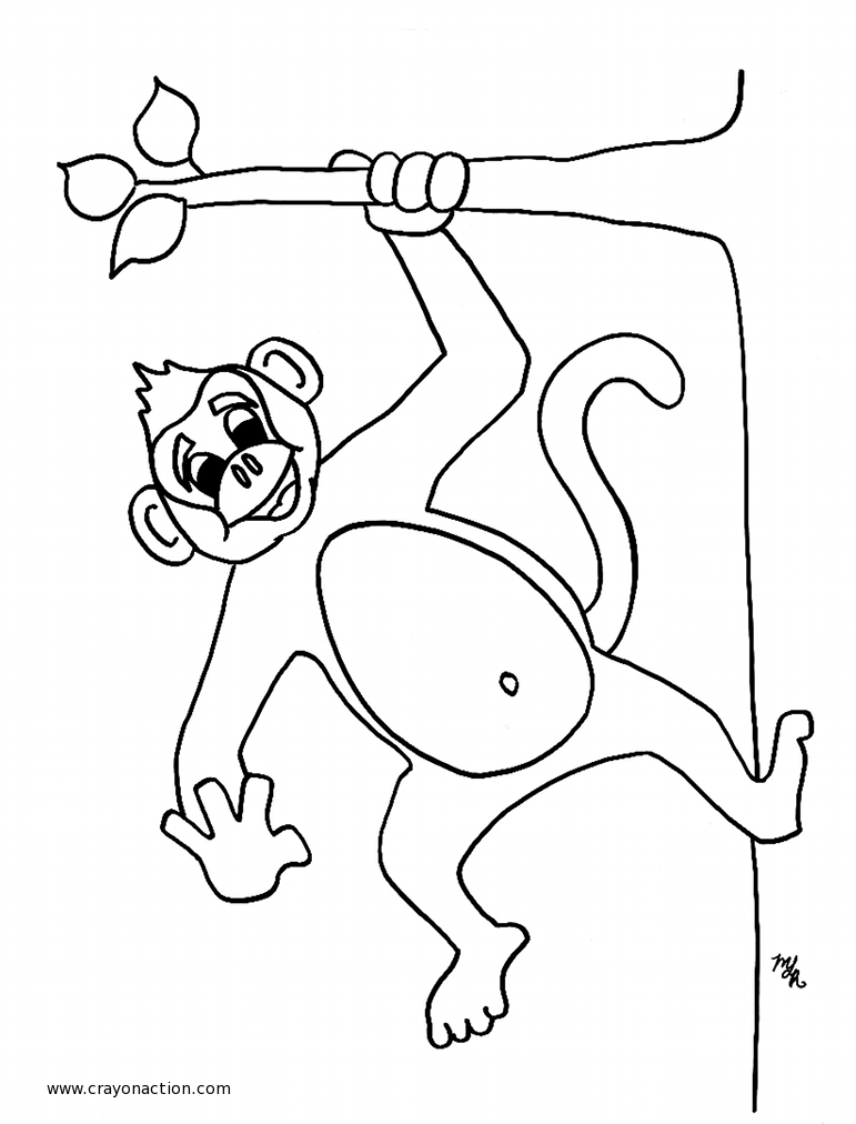 Dibujo de Mono para colorear y pintar #6733