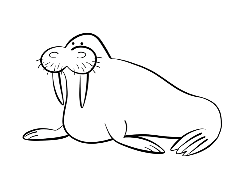 Dibujo de Morsa para colorear y pintar #6778