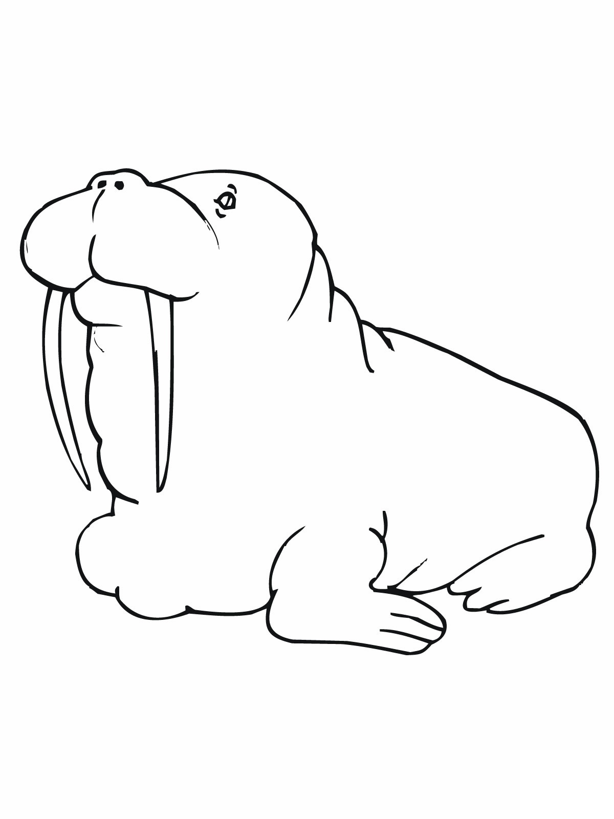 Dibujo de Morsa para colorear y pintar #6780