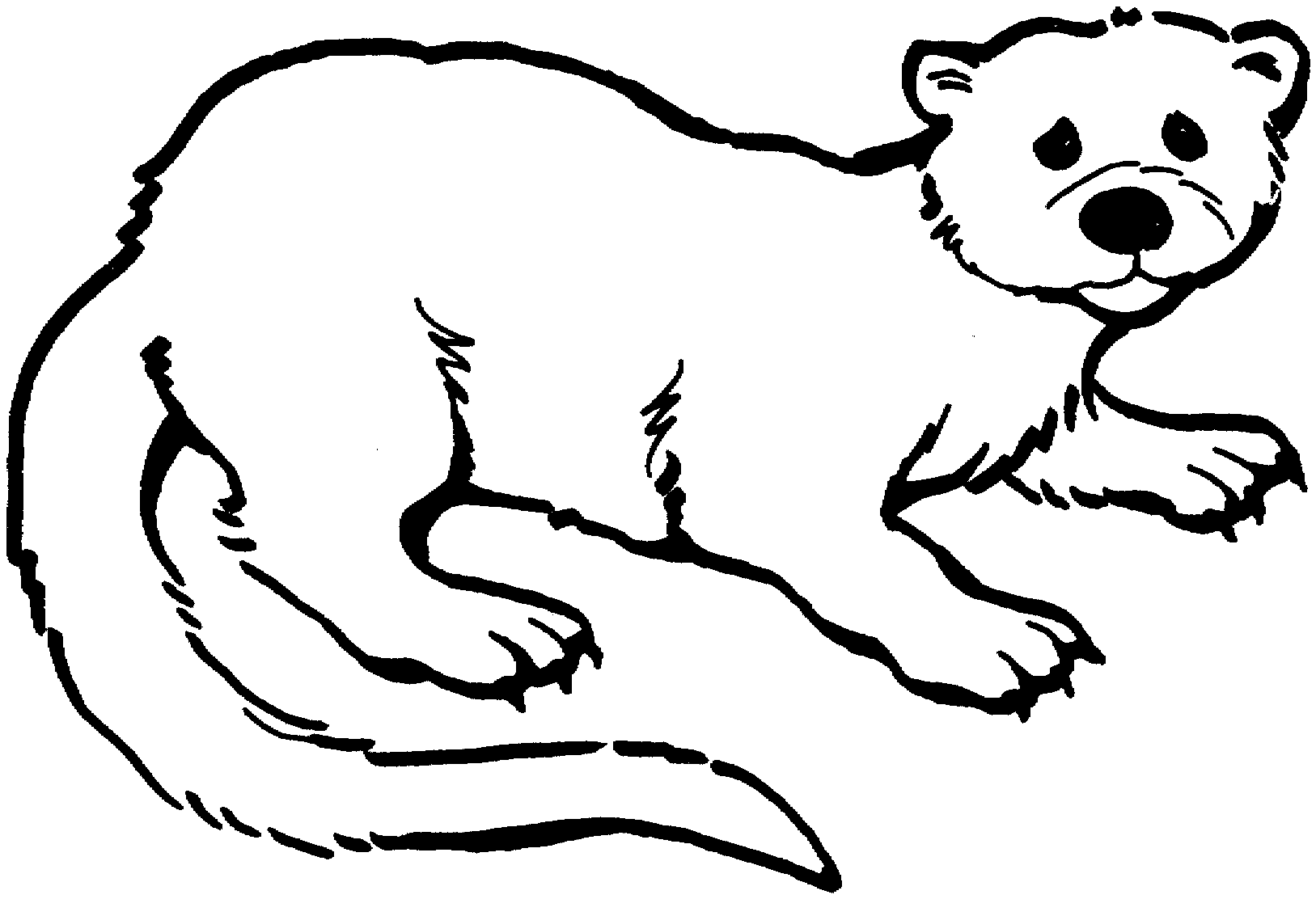 Dibujo de Nutria para colorear y pintar #6977